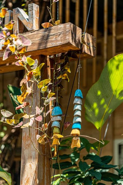 경치 공장 세부 사항 나무 기둥 나무 질감 나뭇잎 낮 녹지 다채로운 도자기 도예 동 나이 동남아시아 등산 덩굴 러스틱 베트남 비엔 호아 빛과