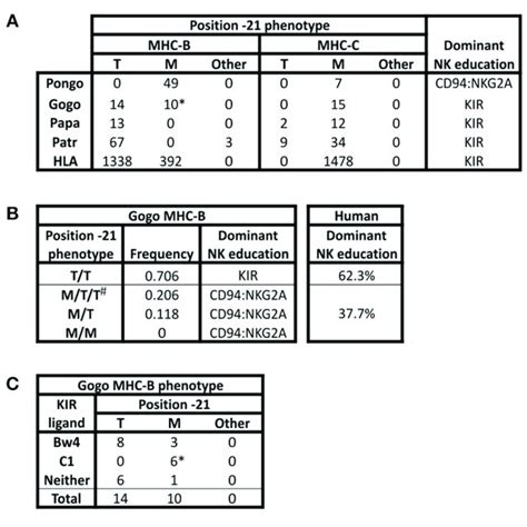 Polymorphism At Position −21 Of Mhc B And C All Mhc B And Mhc C Download Scientific Diagram