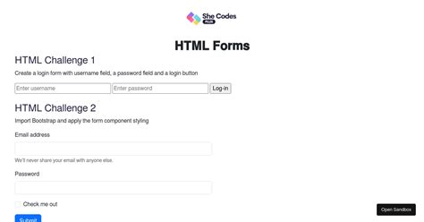 HTML Forms Forked Codesandbox