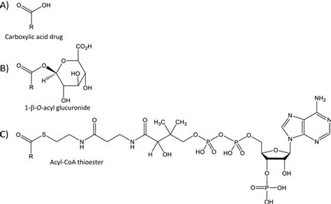 General Chemical Structure Of A A Carboxylic Acid Containing Download Scientific Diagram
