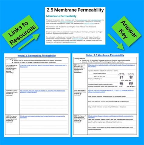 Membrane Permeability Notes By Mr Waggoner Chemistry Biology Ngss