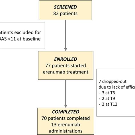 Flowchart Of Enrolled Patients Midas Migraine Disability Assessment Download Scientific
