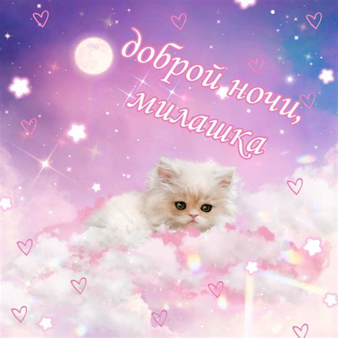 Доброй ночи Ночь Милые котики Спокойной ночи