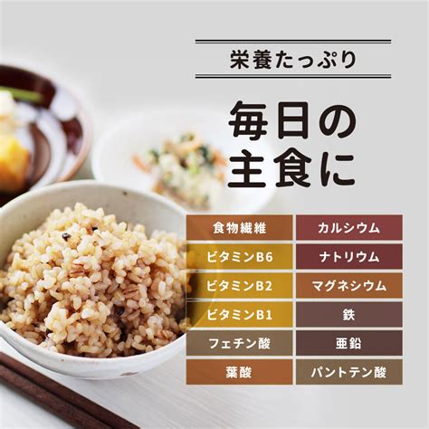 【楽天市場】【期間限定！212水959迄】100有機原料 玄米パックご飯 160g×5個 訳あり 送料無料 パックごはん おにぎり