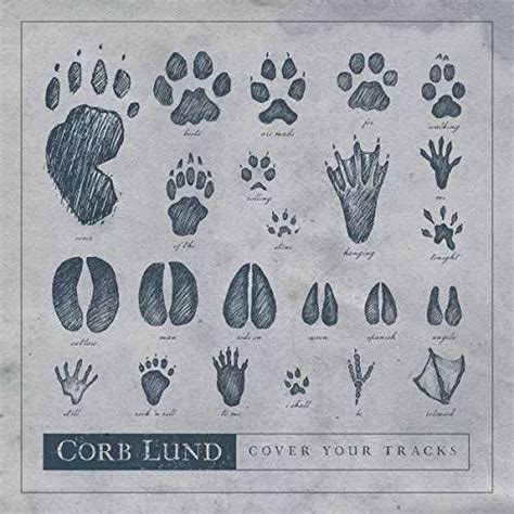 Cd Cover Your Tracks Mercadolibre