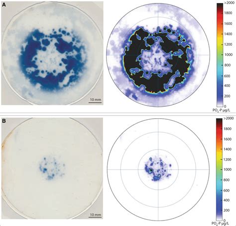 Colorimetric Analysis Of Phosphorus Sampled With Dgts Photographs Of