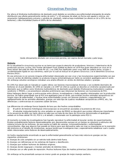 Circovirus Porcino