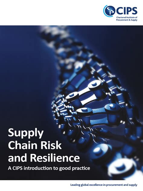 Risk Resilience Strategies Pdf Climate Resilience Risk