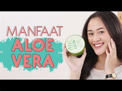 Ketahui 6 Manfaat Gel Lidah Buaya Untuk Wajah Yang Wajib Kamu Tahu E