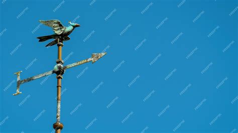 Old Weathered Green Copper Bird Weather Vane Showing Wind Direction On