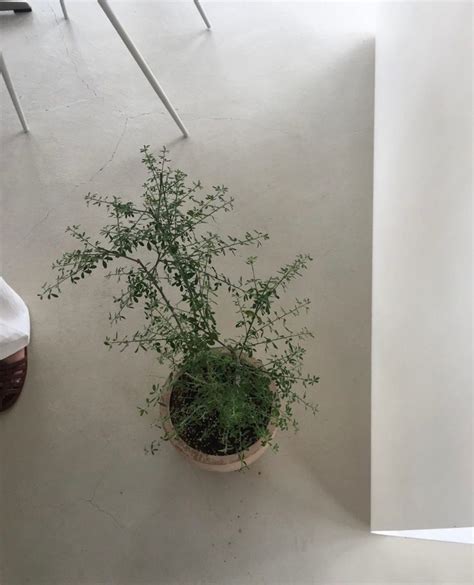 세진 • 도도 육아일기 협찬이지만찐후기 어디서든 간편하게 보습 충전🔋 건조한 도도 피부 몽디에스 스틱밤 덕분에 촉촉함을 되찾았어요 엄마 닮아 악건성 벱비여서 외출할