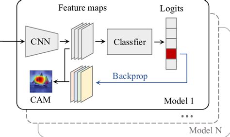 training pipeline we compute saliency maps using the gradcam method