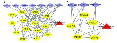 Ingredient Target Pathway I T P Sub Networks Of The Serotonergic