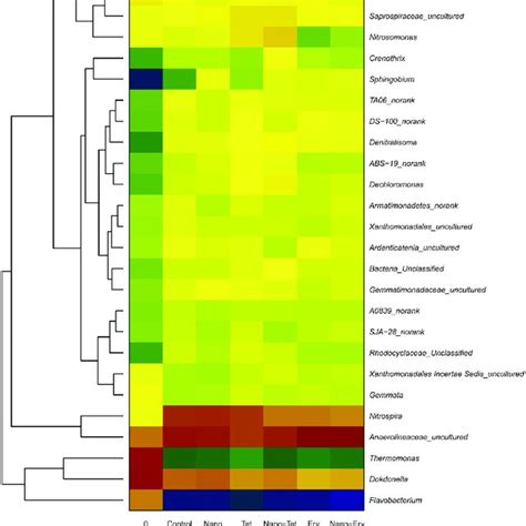 Bacterial Community Heatmap Analysis Of All Samples At Genus Level Top