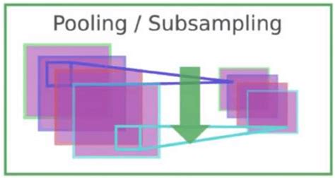 Pooling And Subsampling In CNN Download Scientific Diagram