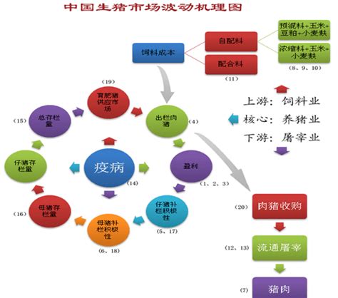 2023年，蠢蠢欲动的猪周期又在搞事情？生猪母猪供给