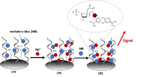 Schematic Representation Of Construction And Working Principle Of Download Scientific Diagram