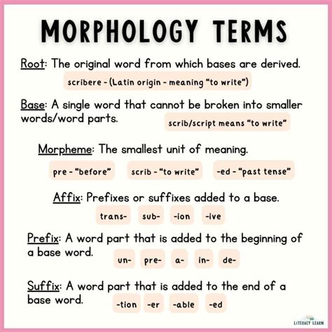 Word Matrix Free Customizable Template Literacy Learn