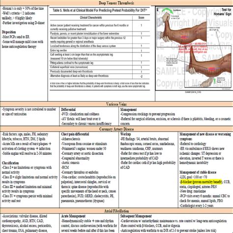 2020 Fnp Quick Clinical Guidelines Review Great To Print Out For
