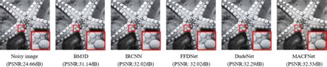 visual comparison of gray scale image denoising from set12 obtained by