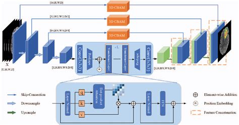 figure 1 from attention transbts a novel transformer unet architecture