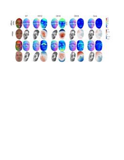 D Face Reconstruction Using Color Photometric Stereo With Uncalibrated