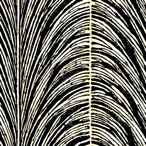 Pen And Ink Sketched Border Graphic With Palm Wings · Creative Fabrica