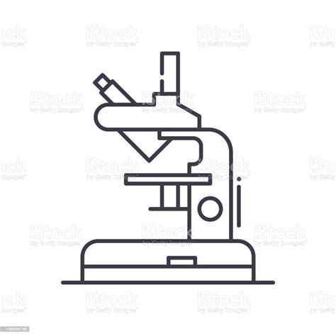 顯微鏡圖示線性隔離插圖細線向量網頁設計符號輪廓概念符號白色背景上具有可編輯的描邊向量圖形及更多企業圖片 企業 健保和醫療 剪裁圖