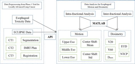 The Flowchart Of Esophageal Analysis The Data From Phase 1 Trial For