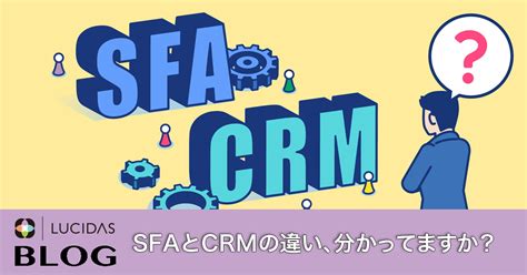 Sfaとcrmの違い、分かってますか？ 株式会社ルシダス