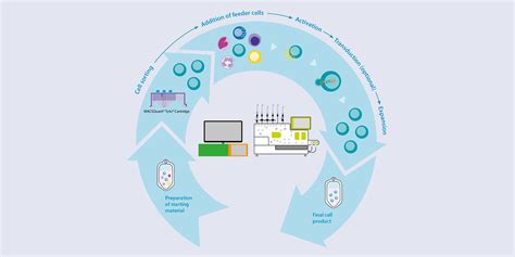 Tumor Reactive T Cells Manufacturing Til Therapy Miltenyi