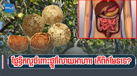 គេ ថា ផ្លែ ខ្វិត ល្អ ចំពោះ ផ្លូវ រំលាយ អាហារ តើ ពិត មែន ទេ