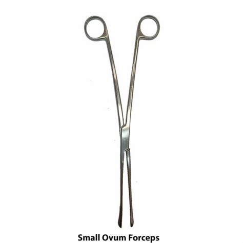 Ss Polsihed Small Ovum Forceps Size Dimension 6inch Length At Rs