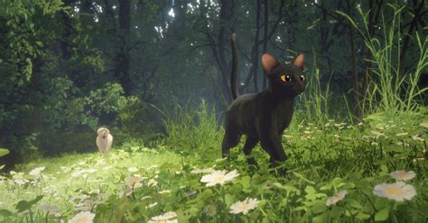 „ПОТОП Flow“ е изпълнен със сантимент но не и сантименталност това е една от най