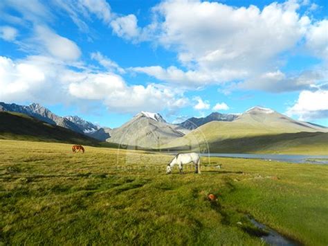 National Parks National Parks In Mongolia Great Genghis Tours
