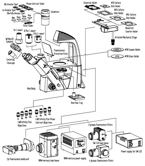 Bds400 Inverted Biological Microscope Vital Vision Technology Pte Ltd