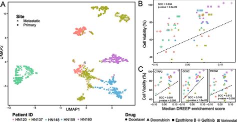 Drug Response Prediction In Heterogenous Patient Derived Cultures