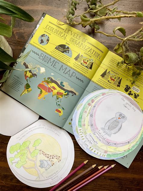 Free Levels Of Ecological Organization Books And Willows