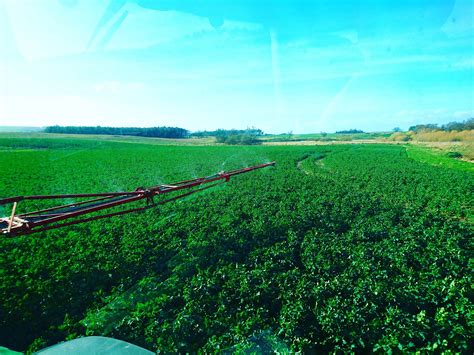 Variable Rate Nitrogen Application Drone Ag