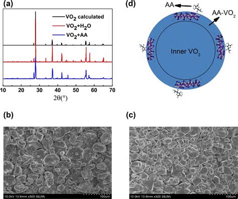 A X Ray Diffraction Pattern Of H2o Treated Vo2 Red Line And Aa Download Scientific Diagram
