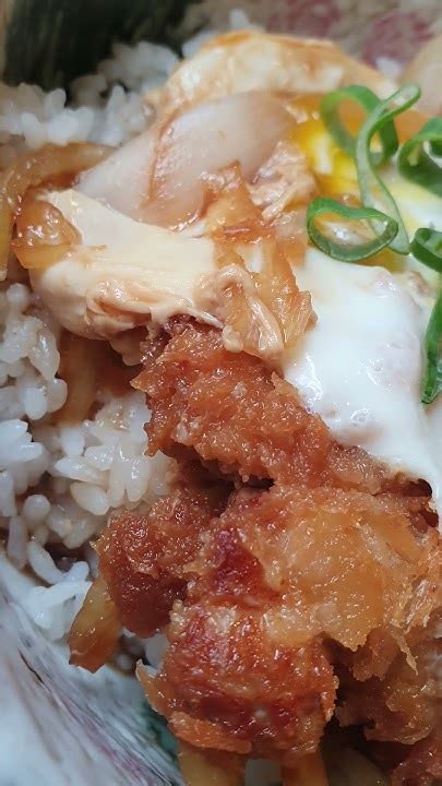 타누끼 돈부리 카츠동 카츠동가츠동돈부리타누끼돈부리이수일식 Youtube