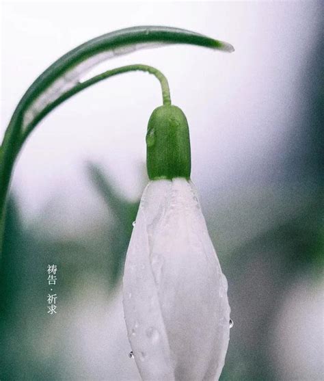 教育學考研院校推薦及參考書目 每日頭條