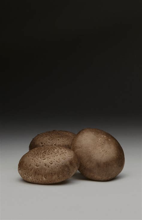 Functional Mushroom Extracts