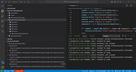 Net Error To Load The Process With The Projects On Visual Studio