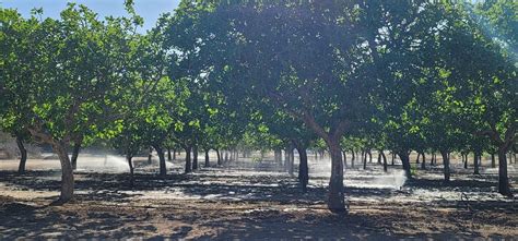 Adventure Payson Trunk Registration Extended Register Your Business