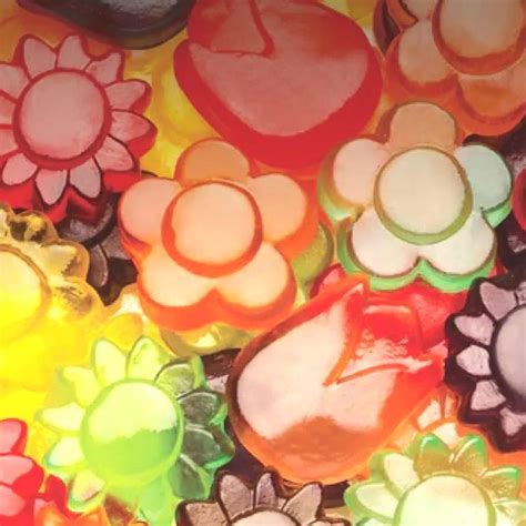 Gummy Candy Container Etsy