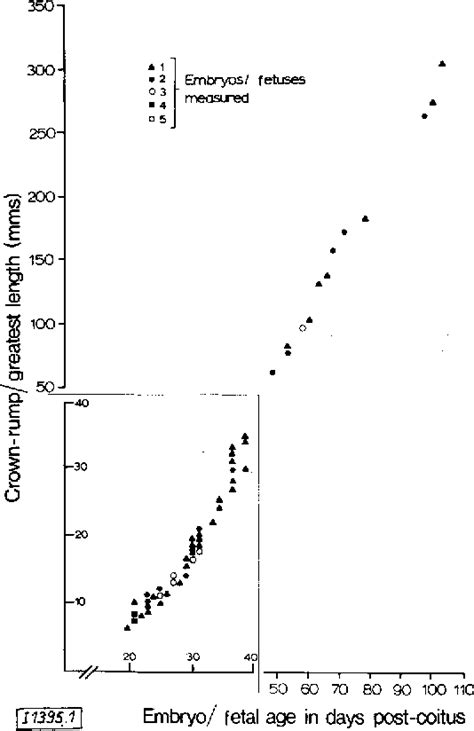 Figure 1 From Sheep Thymus In Relation To In Utero Semantic Scholar