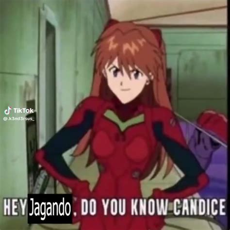 [fluff] This Is The Funniest Bc Meme Ive Seen R Battlecats