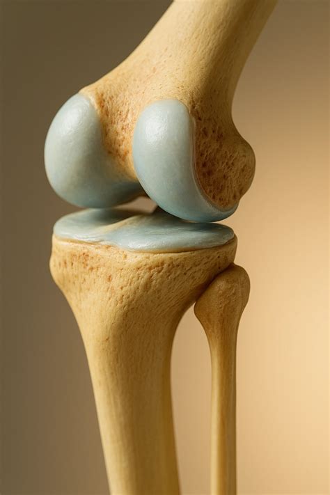 Гиалуроновая кислота для суставов как работает когда помогает и что нужно знать Proflex Intra