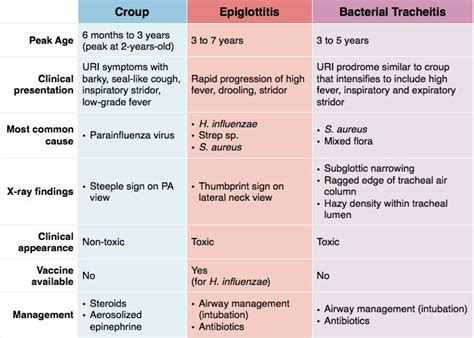 Bacterial Tracheitis Antibiotics